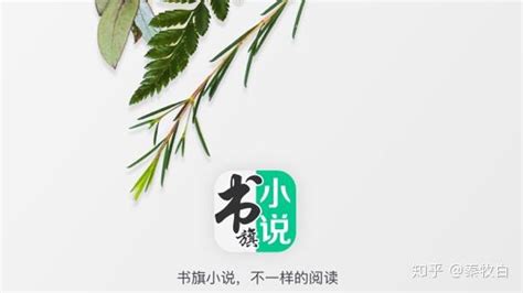 番茄小说vs起点读书vs书旗小说，移动在线阅读的竞品分析 知乎