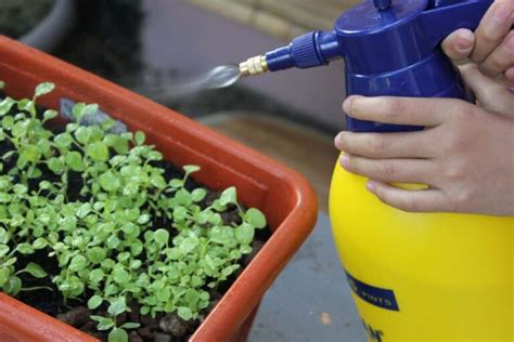 How To Remove Chlorine From Irrigation Water Several Ways To Do It