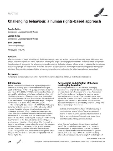Challenging Behaviour A Human Rights Based Approach Pdf Disability