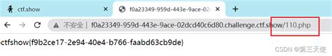 《ctfshow Web入门》02 Web 11~20ctfshow Web11镜坛主的博客 Csdn博客