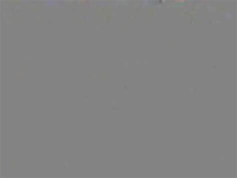 Silver Daddy Bear Blow Job Eporner