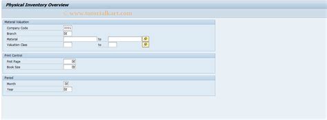 J1b Lb07 Sap Tcode Physical Inventory Overview