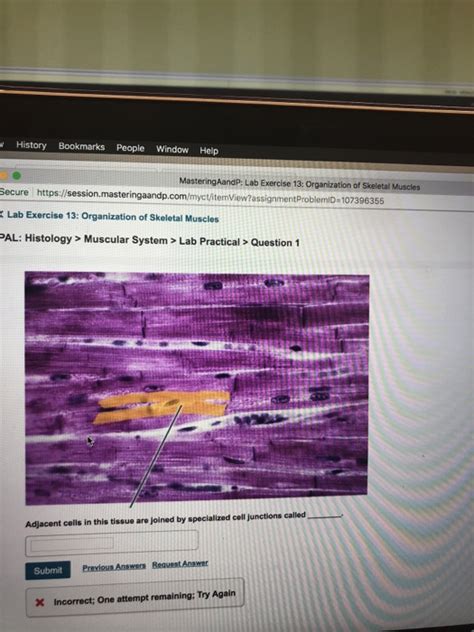 Solved History Bookmarks People Window Help Masteringaand Chegg