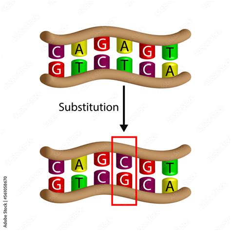 substitution mutation error during dna replication one nucleotide is