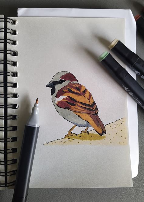 Chirp Chirp Time To Wake Up Scrolller