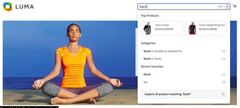 magento 2 search suggestion autocomplete search