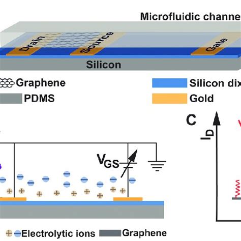 A The Continuous Real Time Measurements Of The Gfet Biosensor The Download Scientific