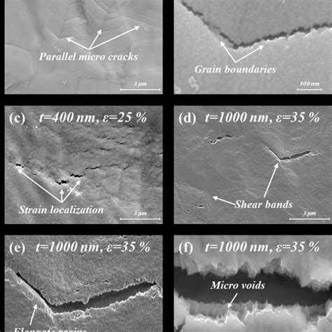 Laser Confocal Micrographs Of The Samples Elongated To Different