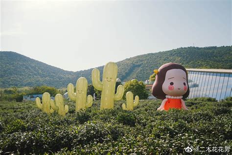 还是山里好财经头条