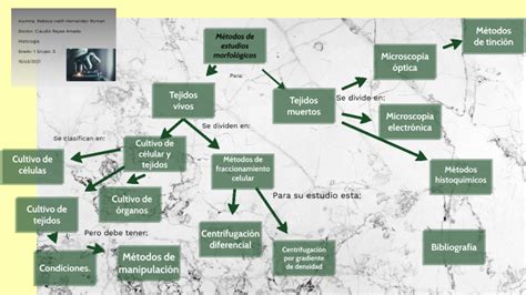 Mapa Conceptual Métodos De Estudios Histológicos By Rebeca Iveth