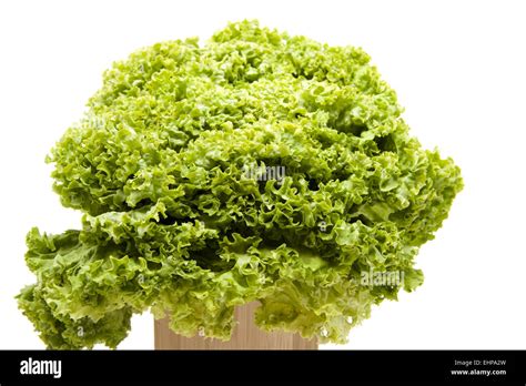 Bionda hi-res stock photography and images - Alamy
