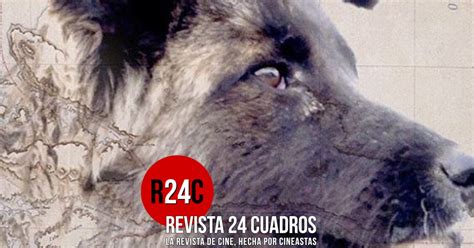Revista El Mundo Del Perro Actualizado Febrero 2025