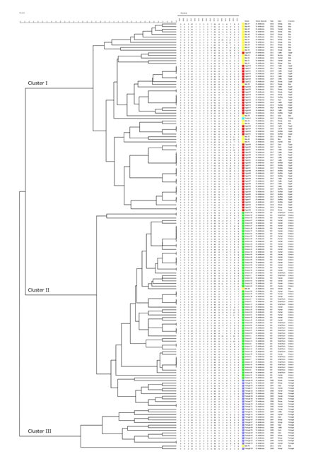 Figure S3 Dendrogram Based On Mlva 16 Genotyping Upgma Method Download Scientific Diagram