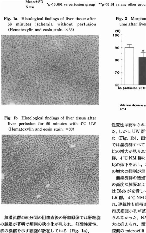 Txb2 6keto Pgfia Pge2 And C Amp Levels In Perfusate Download