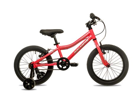 Avalanche Bikes • Dville Cyclery