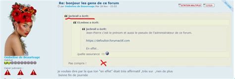 Jaimerai Bien Comprendre
