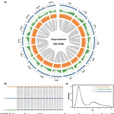 figure 2 from new methods to detect ghost introgression semantic scholar