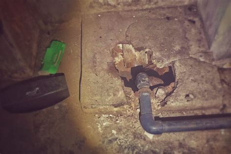 Defectos Estructurales La Puerta Abierta A Las Plagas En Edificios Pest System International