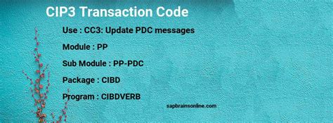 CIP SAP Tcode For CC Update PDC Messages