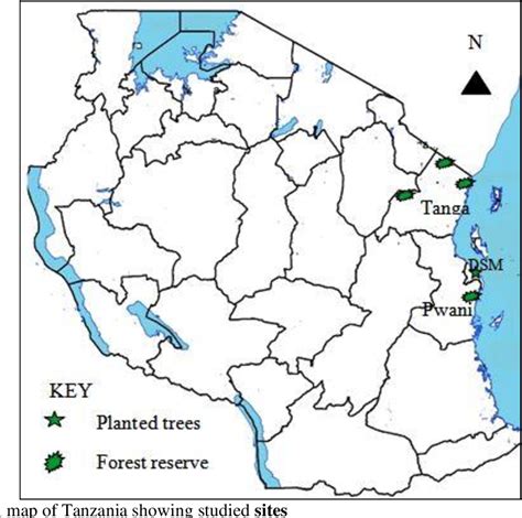Figure 1 From Identification Of Tanzanian Saprophytic Edible Mushrooms