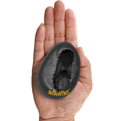 Laxmi Narayan Shaligram Best Price Abhimantrit