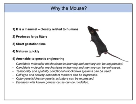 Lecture 1 Intro To Module Flashcards Quizlet