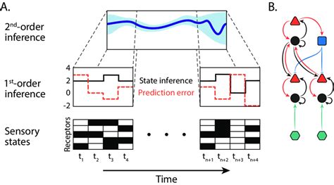 Perceptual Dynamics Under Hierarchical Active Inference A In This