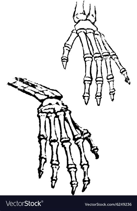 Как поэтапно нарисовать руку скелета Фотоподборки 1