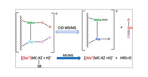 Identification Of Serine Containing Microcystins By Uhplc Msms Using