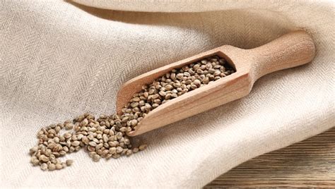 Ways To Eat Hemp Seeds Tips And Side Effects HealthShots