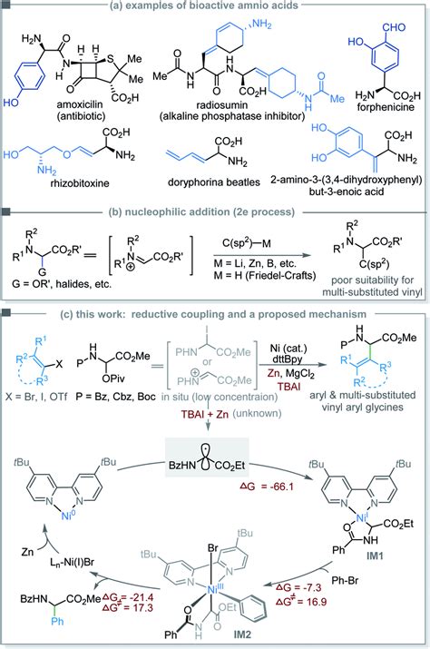 A Examples Of Bioactive Compounds Consisting Of Unusual Amino Acids