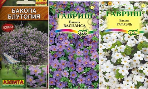 Бакопа. Посадка и уход, фото, выращивание из семян: Ампельная, Монье ...