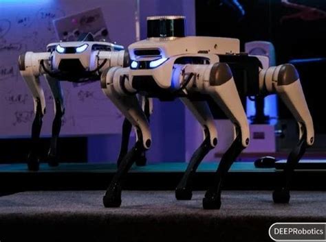 deep robotics lite3 quadruped at rs 480000 robotic systems in chennai