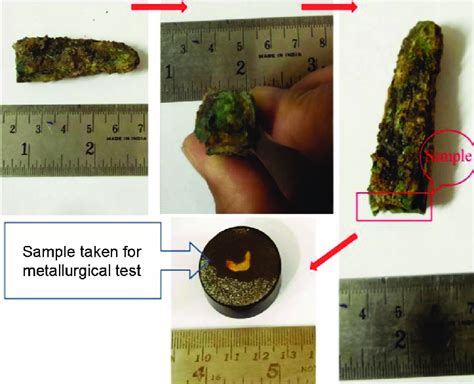 Sample Collection Process Download Scientific Diagram
