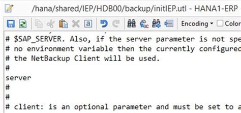 Netbackup Ile Sap Hana Database Yedekleme İşlemleri Çözümpark