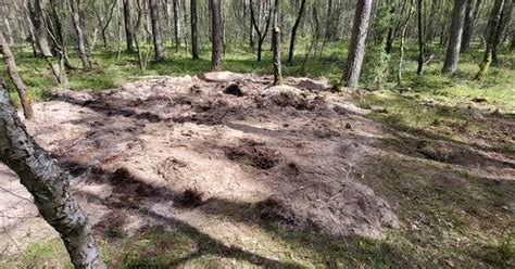 Розслідування падіння російської ракети у Польщі Цензор НЕТ