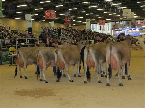 XXIX EXPOSICIÓN NACIONAL DE LA RAZA JERSEY AGROEXPO 2015 Asojersey