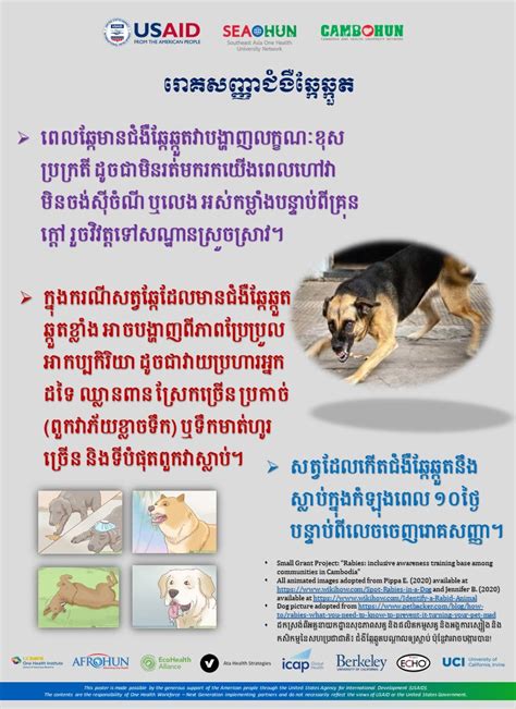 Rabies Posters