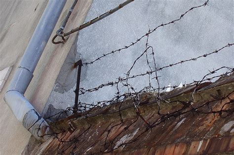 Hostile Architecture As Seen From The Suburbs Of An Expensive City