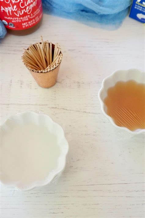 Homemade Fruit Fly Trap Gnat Trap • The Fresh Cooky