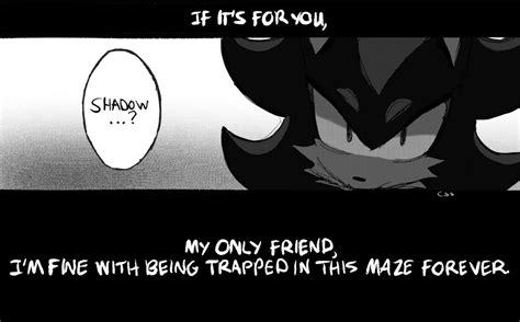 That One Boom Sonadow Fanfic Guy On Tumblr