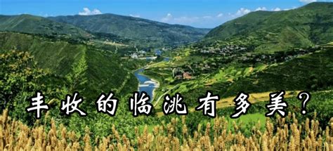 甘肃省教育考试院关于全国计算机等级考试有关事宜的公告考生考点部分