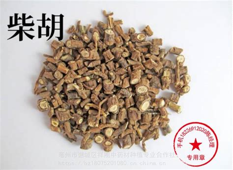 柴胡疏肝散联合佛手金贴治疗带状疱疹后神经痛中医药