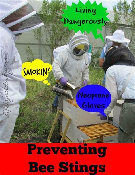 Preventing Bee Stings While Raising Honey Bees Bee Sting Bee Keeping Raising Bees