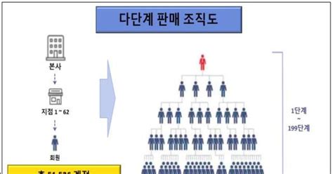 반려견 플랫폼 투자 미끼로 1600억 뜯은 199단계 조직 검거