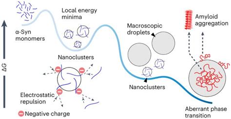 Antonin Kunka On Linkedin Mass Photometric Detection And Quantification Of Nanoscale α Synuclein…