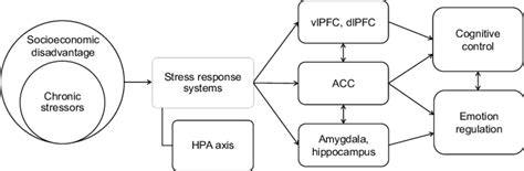Integrative Model Highlighting The Role Download Scientific Diagram