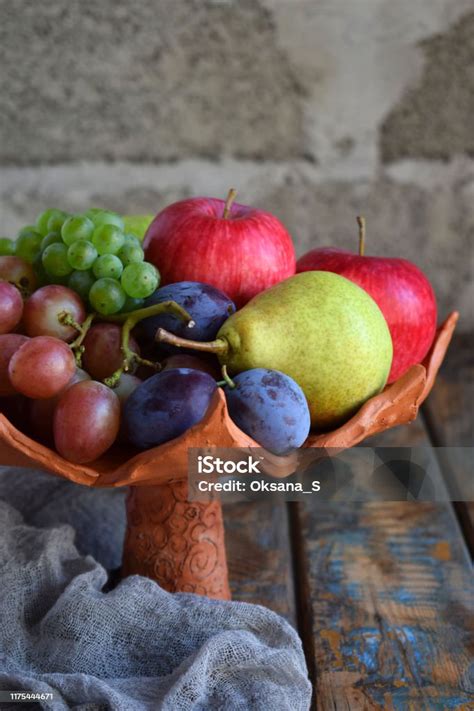 포도 사과 자두 Viburnum 층층 나무 나무 배경에 가을 과일과 열매 추수 감사절에 대한 가을 정물 원시 음식 복사 공간 가을에 대한 스톡 사진 및 기타 이미지 Istock