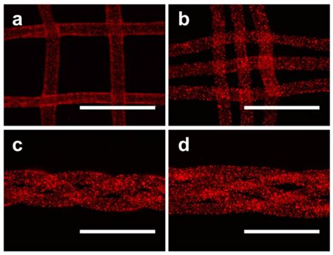 Microfluidics Based Fabrication Of Cell Laden Hydrogel Microfibers For