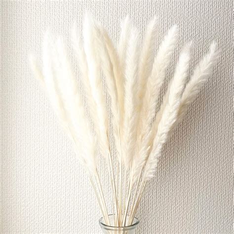 46％割引【全商品オープニング価格 特別価格】 Whiteのパンパスグラスのアレンジメント フラワーガーデン 日用品インテリア Ota